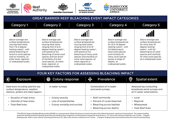 Coral bleaching | gbrmpa